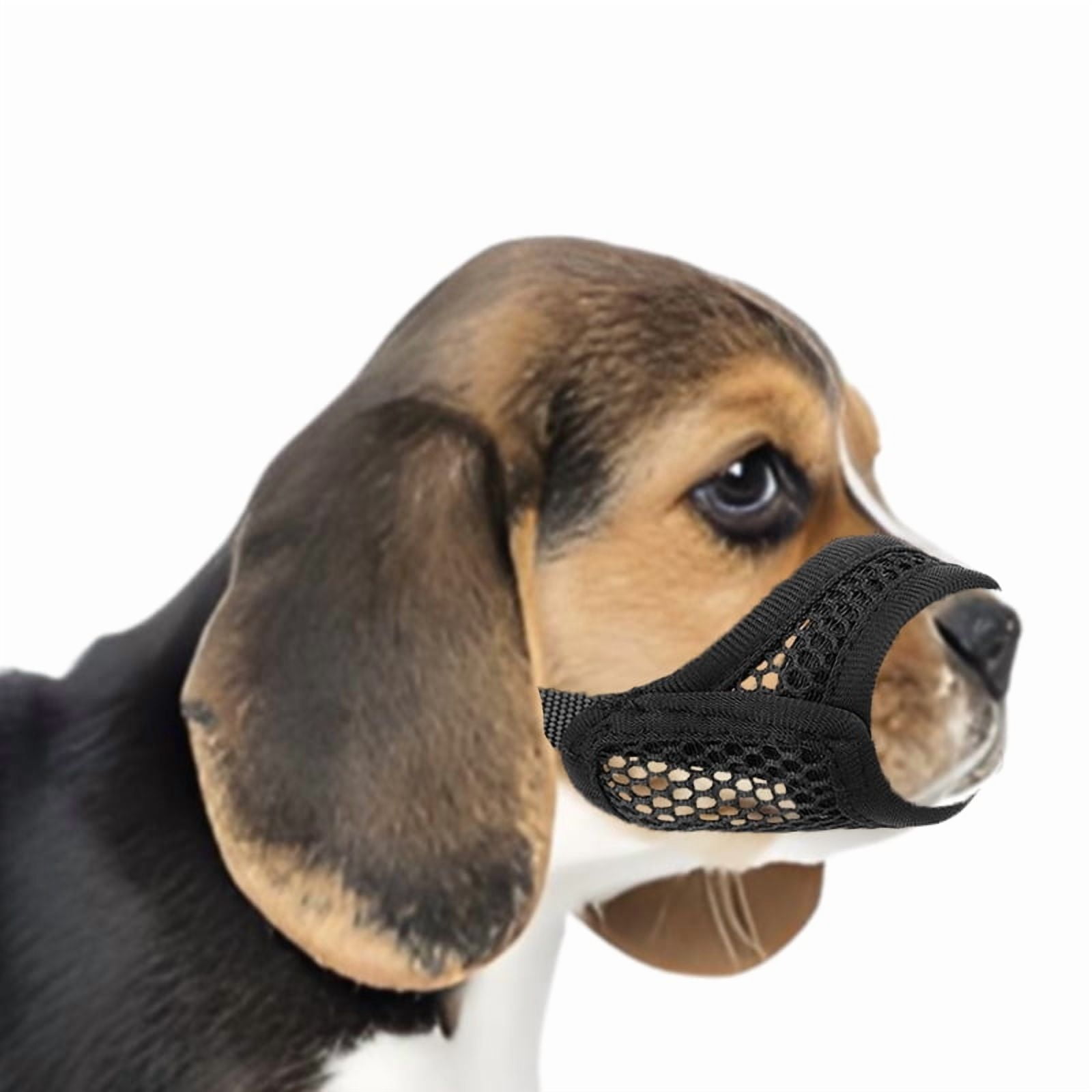 Mesh Muzzle For Short Snout And Small Medium Dogs Anti-Biting, Focus On ...