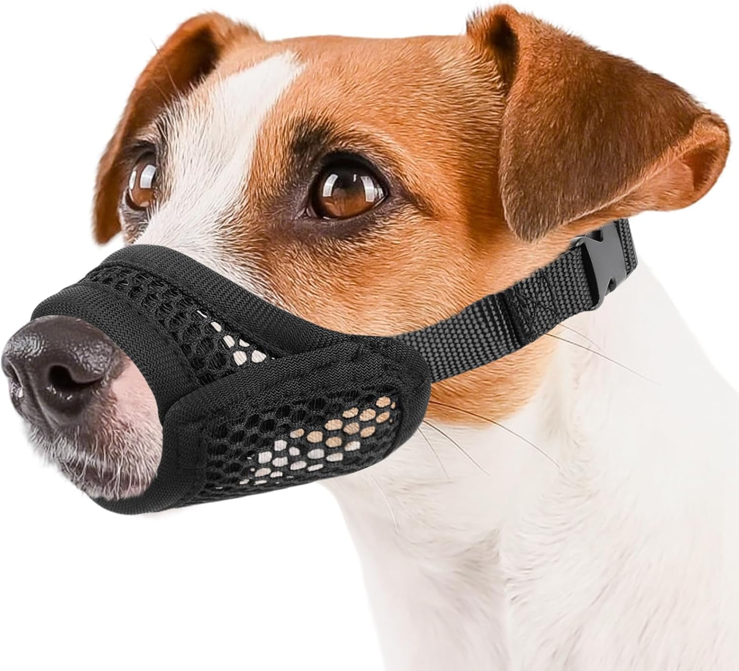 Mesh Muzzle for Short Snout and Small Medium Dogs Anti-Biting, Focus on ...
