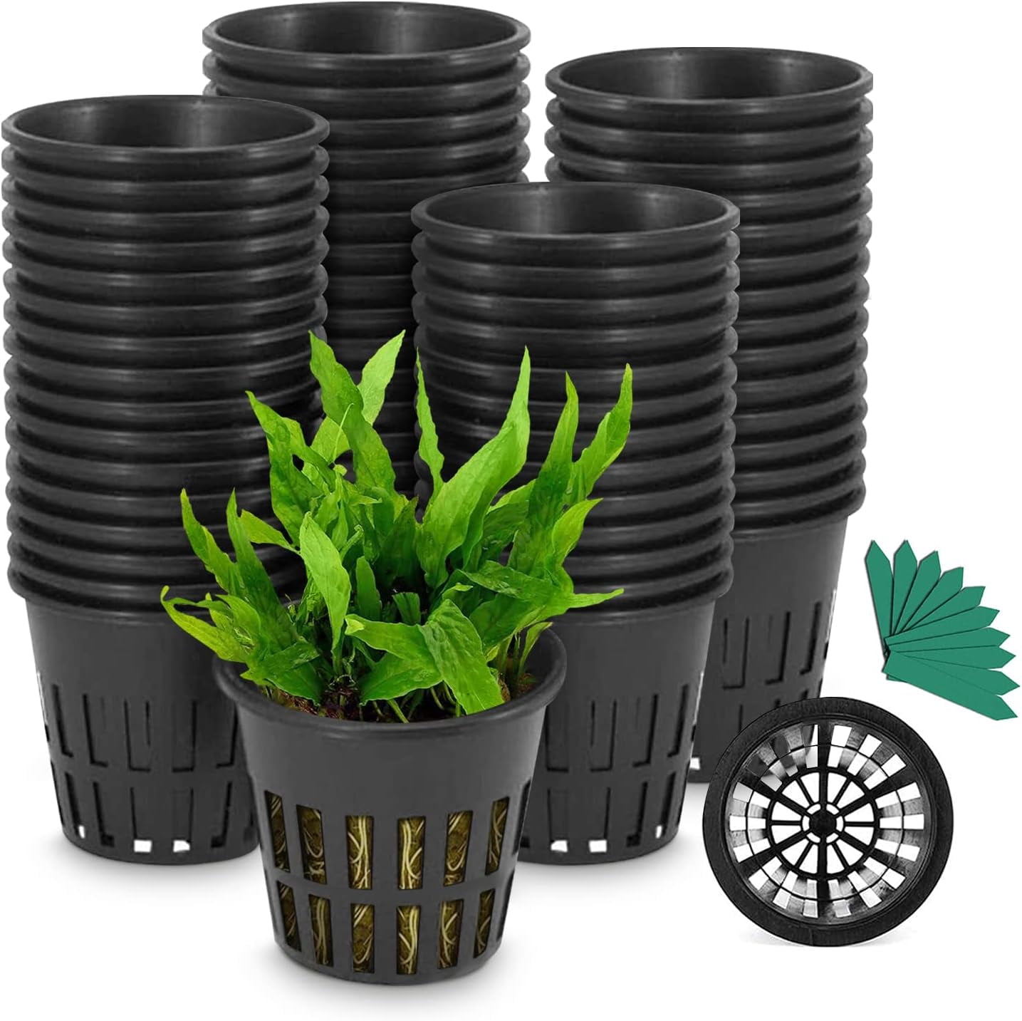 Mesh Net Cups Net Pot, 100 Pcs 3 Inch Garden Slotted, Heavy Duty ...