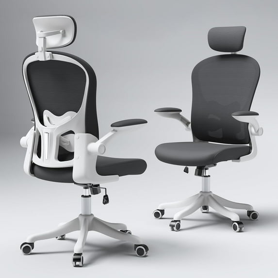 Mesh Office Chair with Adjustable Support and Headrest, High Task Chair ...