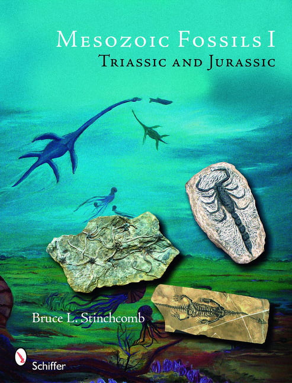 Mesozoic Fossils: Triassic and Jurassic (Paperback) - Walmart.com