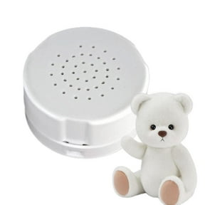 Voice Box
