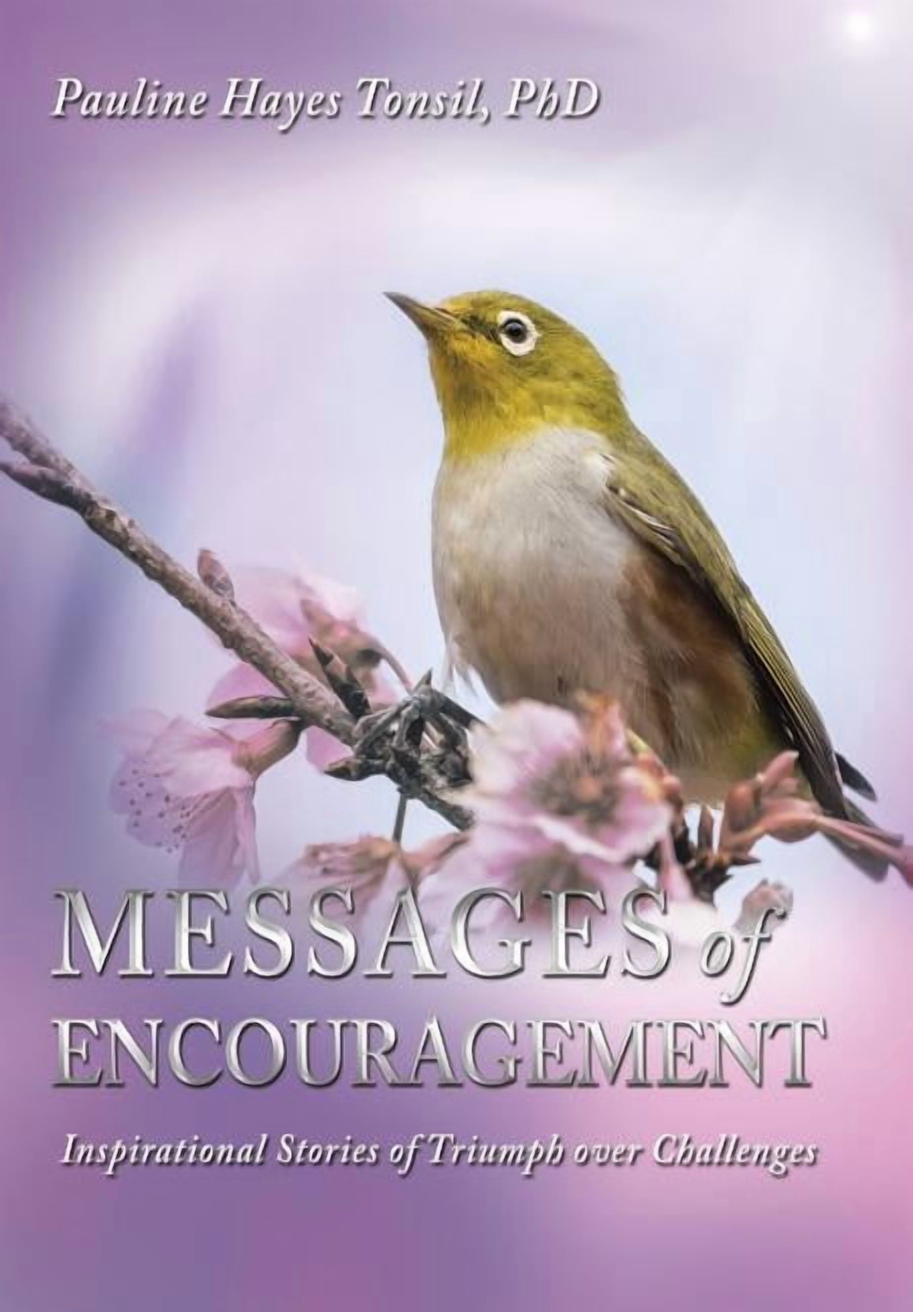 Messages of Encouragement: Inspirational Stories of Triumph Over ...