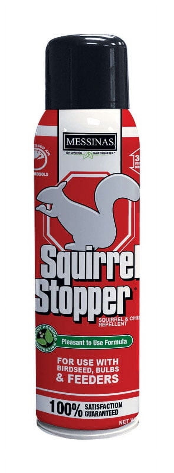 Messina Wildlife Squirrel & Chipmunk Spray, Effective Deterrent Pest ...