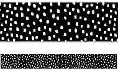Messy Dots On Black Border (Core , EZ Border) Classroom Décor - Walmart.com
