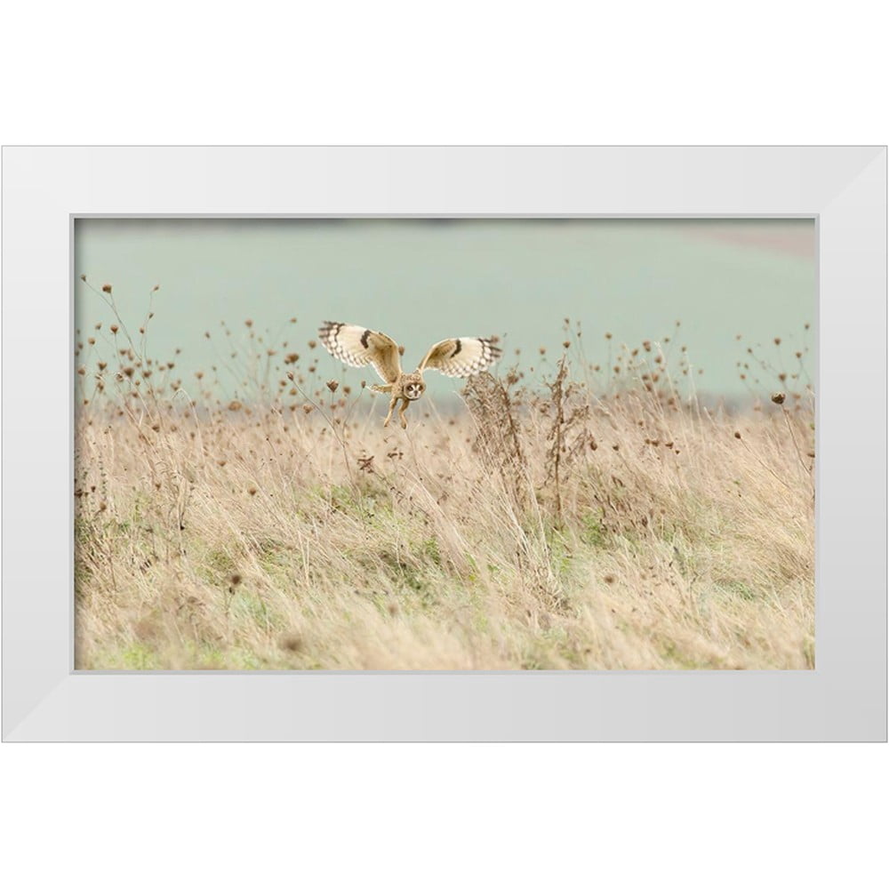 Meswani, Prashant 18x13 White Modern Wood Framed Museum Art Print ...