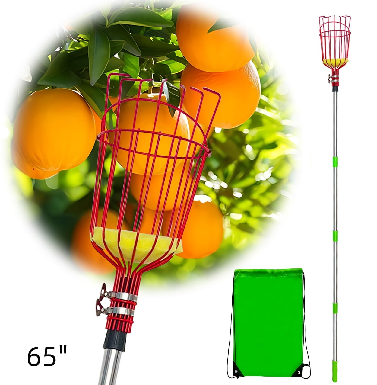 Fruit Picker with Pole Basket Apple Picker Telescoping Long Handle ...