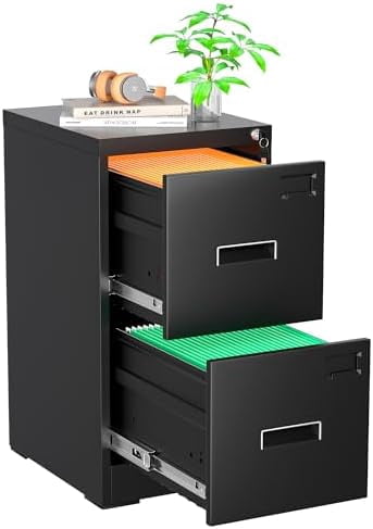 Metal 2 Drawer File Cabinet, Vertical File Cabinet with Lock, Locking ...