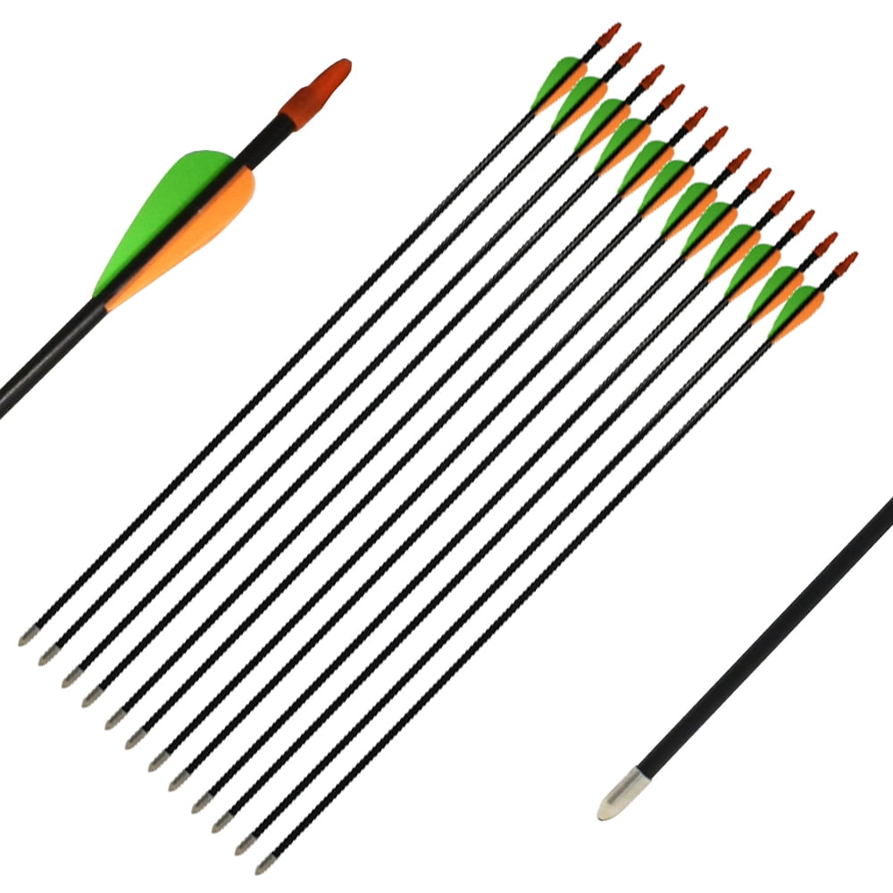 Metal Arrows 29 Inch 6/12PCS Hunting Arrows for Bow Compound Recurve ...