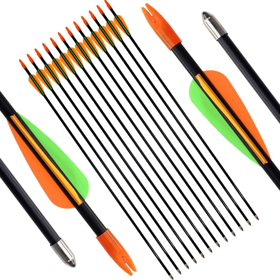 Metal Arrows 29 inch 6/12PCS Hunting Arrows for Bow Compound Recurve ...