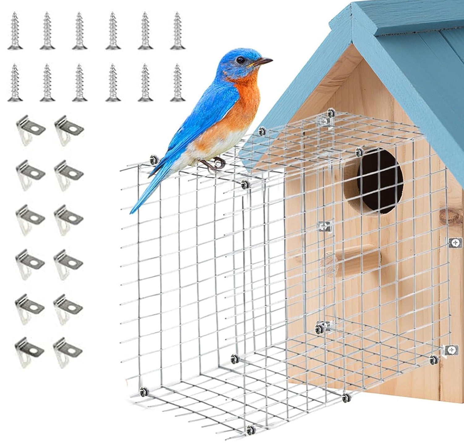 Metal Bird House Entrance Hole Protector,Bexikou Stainless Steel ...