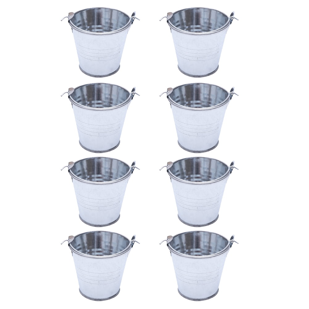 TABLZONE Mini Iron Flower Pots for Indoor Plants, Decorative Buckets ...