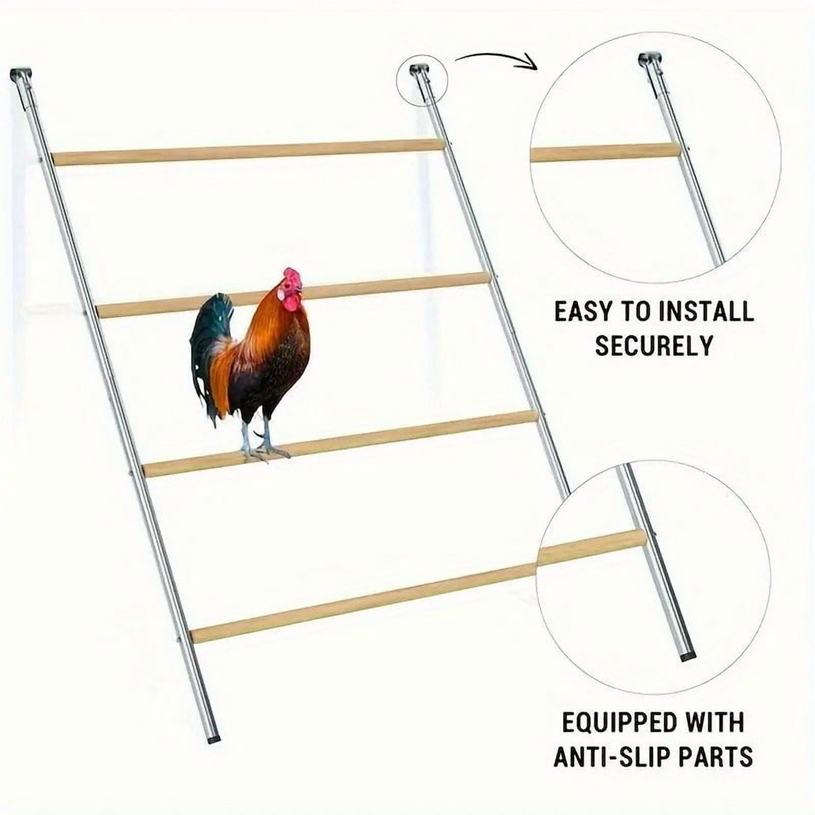 Metal Chicken Climbing Frame - Ladder Style Perch for Coops & Poultry ...