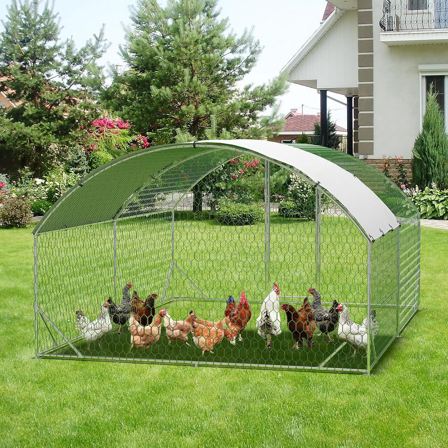 Metal Chicken Coop with Run,Walkin Poultry Habitat Supplies with ...