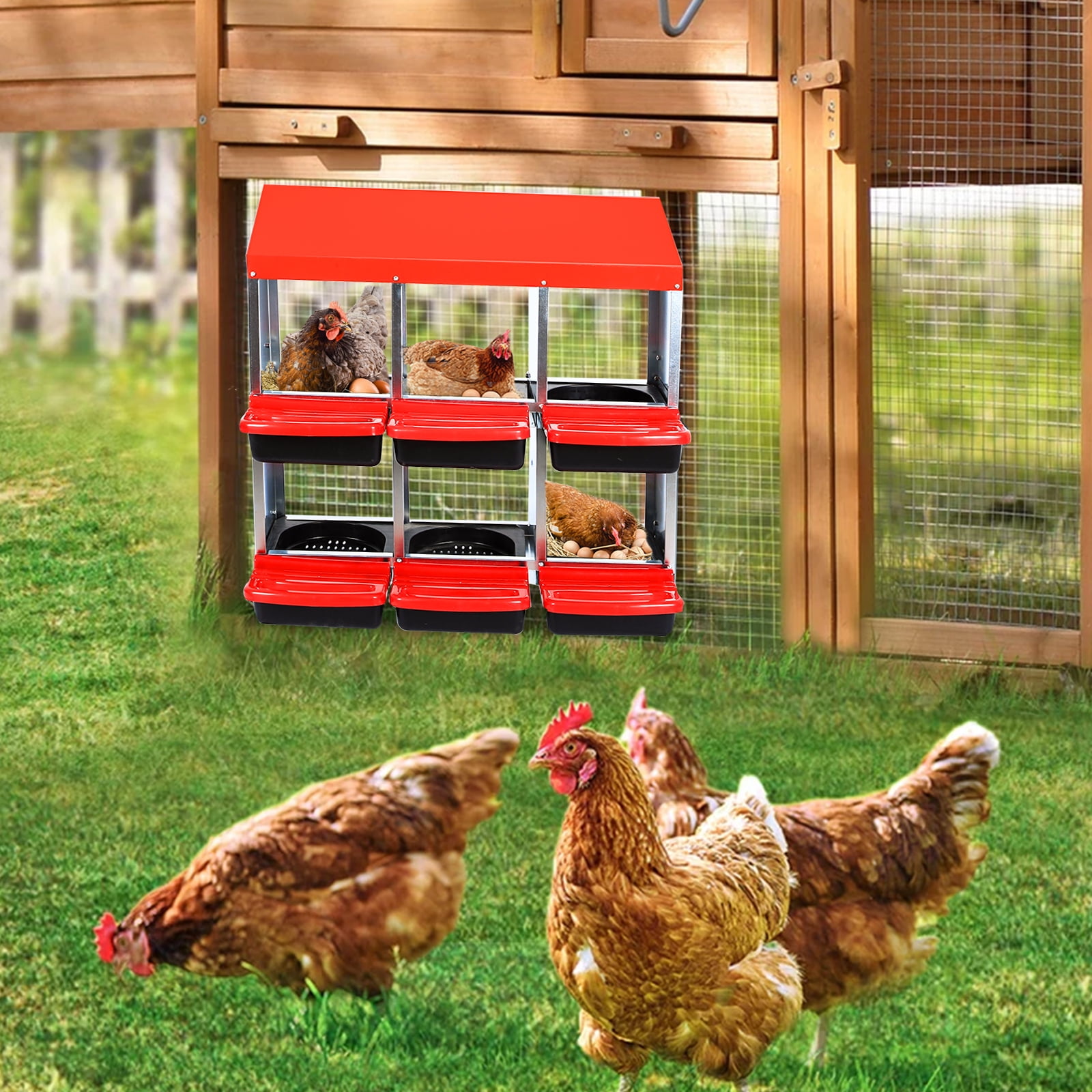 Metal Chicken Nesting Box, Compartments Laying Boxes for Hens, Chicken ...