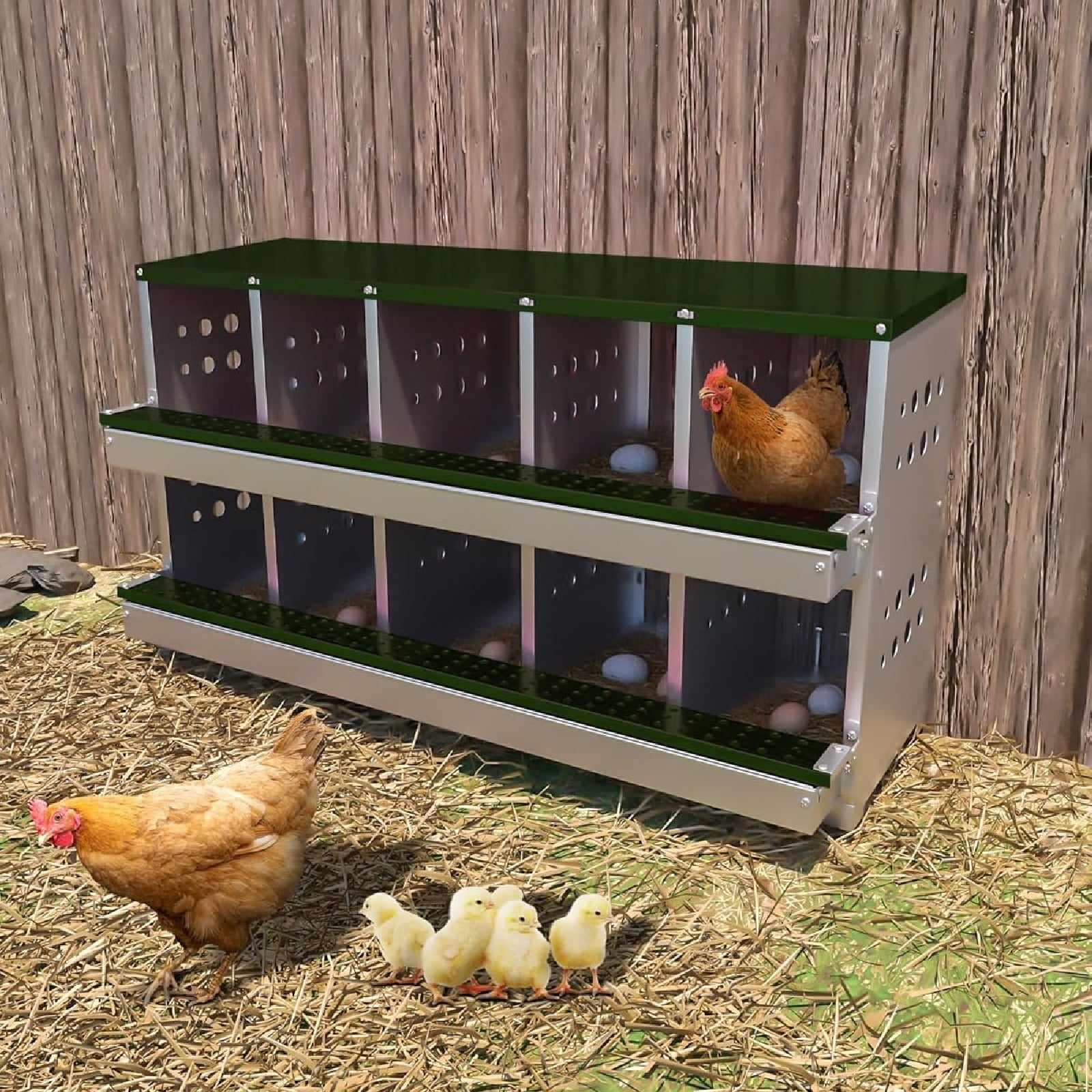 Metal Chicken Nesting Box for Laying Eggs, Rustproof Wall-mountable ...