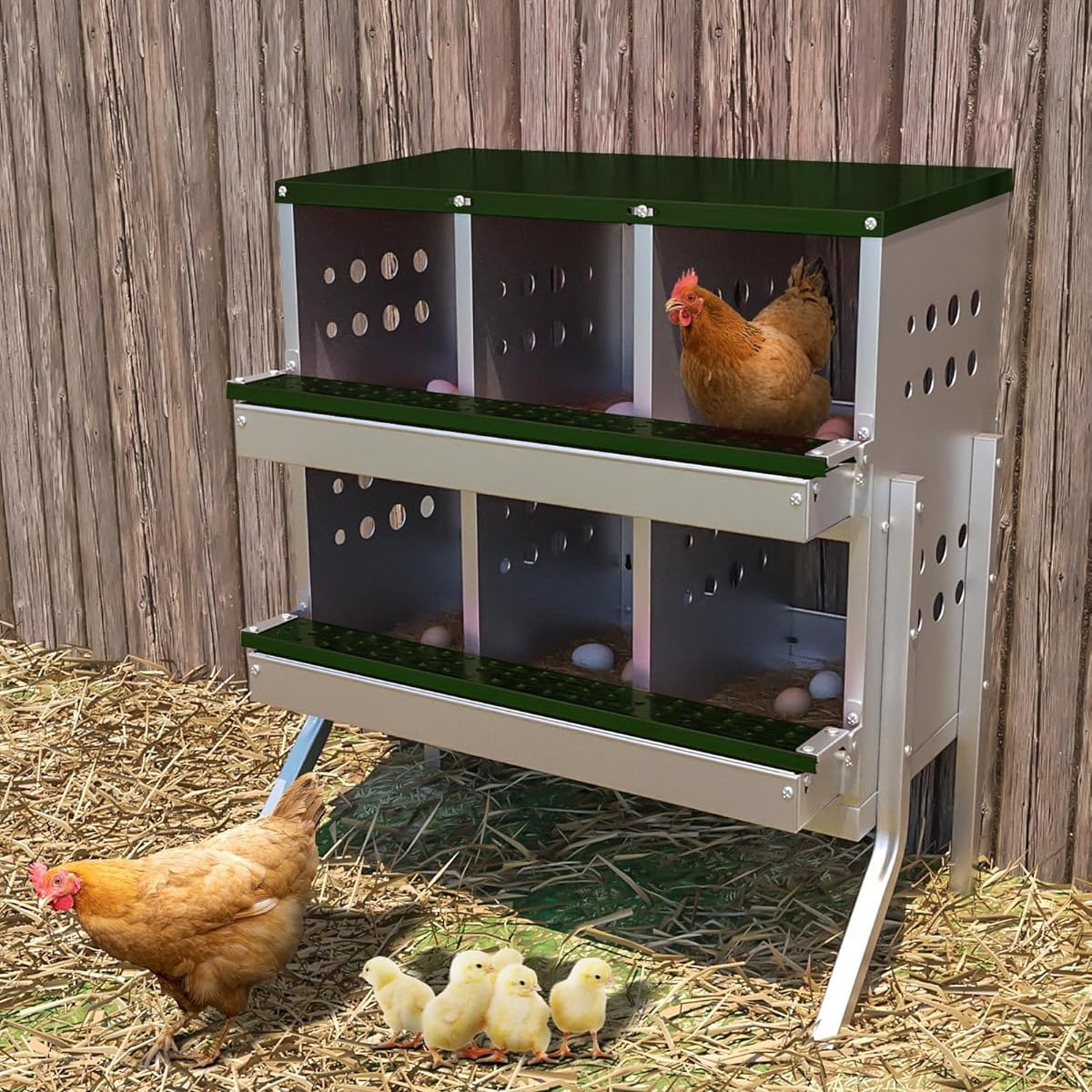 Metal Chicken Nesting Box for Laying Eggs, Rustproof Wall-mountable ...