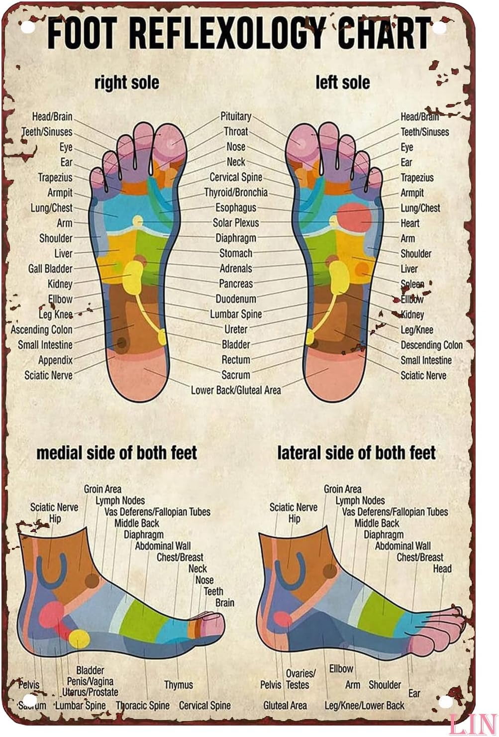 Metal Decor for Bathroom Wall Massage Therapist Foot Reflexology Chart ...