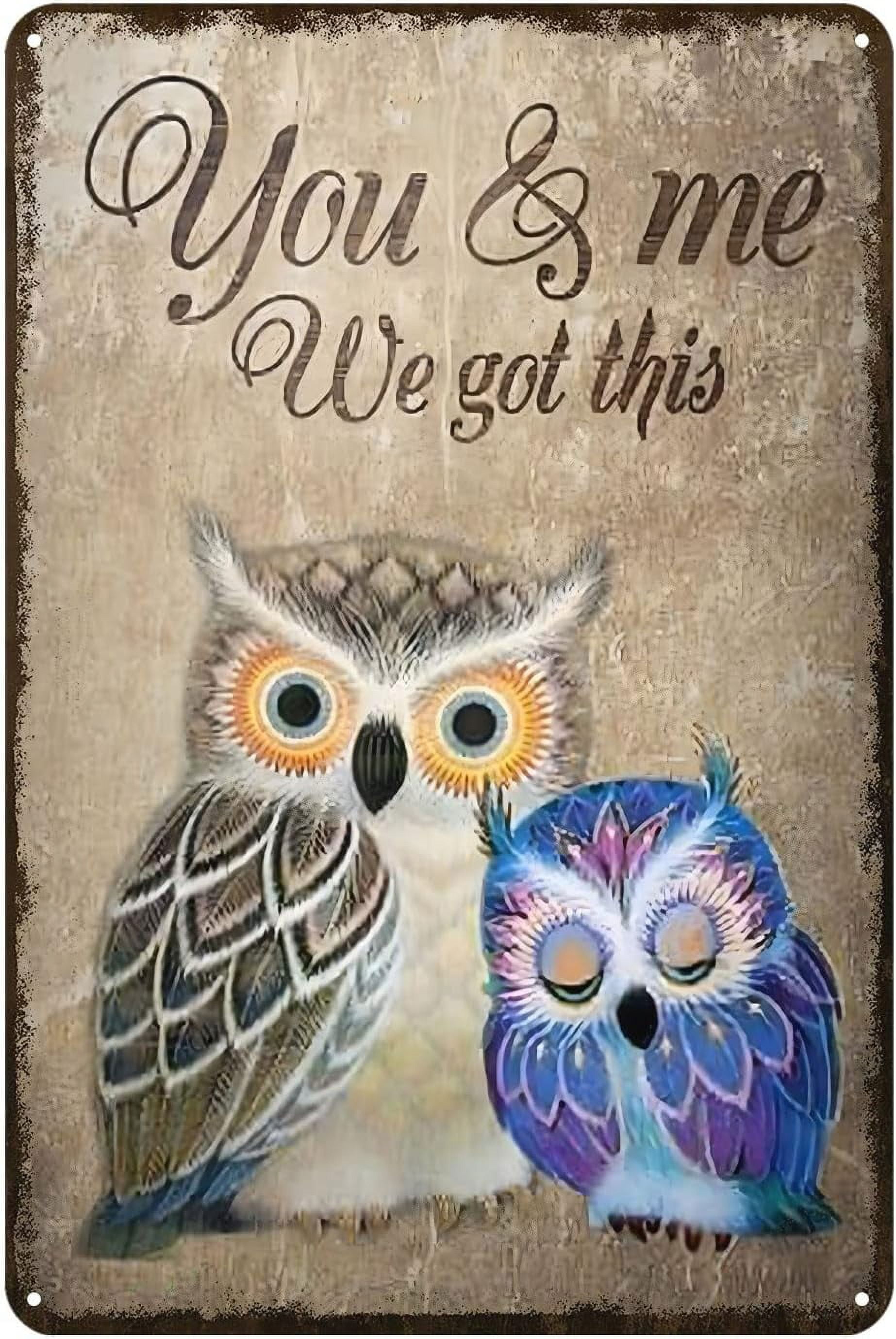 Metal Decor for Outside Wall You and Me We Got This Owl Funny Owl Tin ...