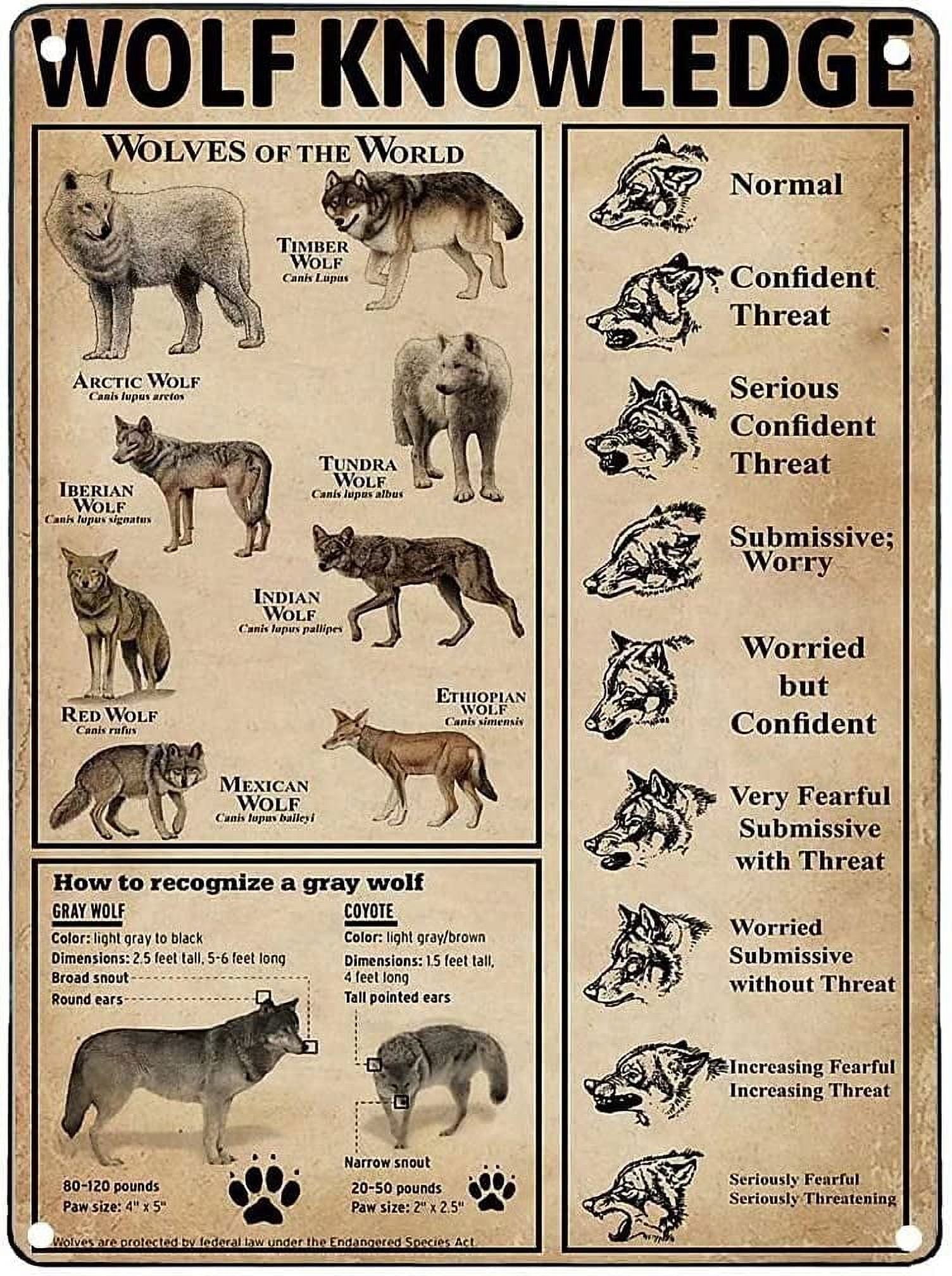 Metal Decoration for Wall Wolf Knowledge Metal Tin Sign Retro Wall ...