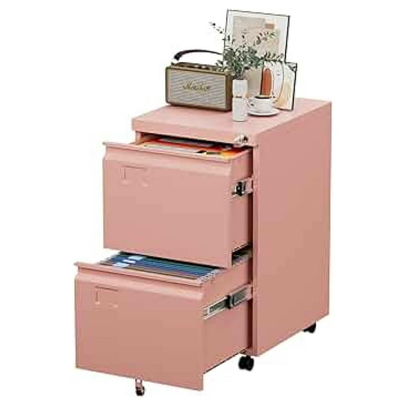 Metal File Cabinet 2 Drawer, Mobile Filing Cabinet with Lock, Under ...