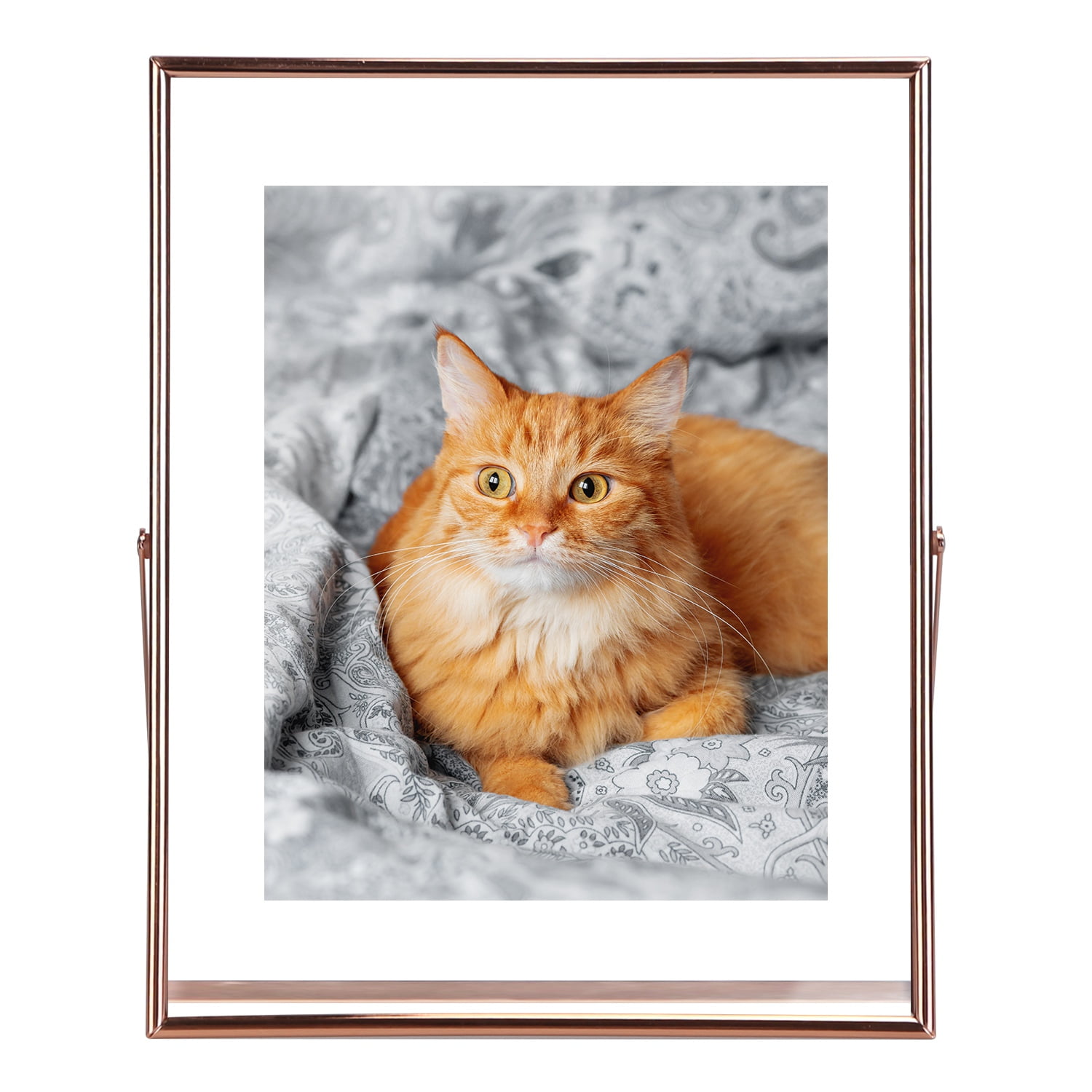 Metal Floating Picture Frame Set of 2, Rectangle Tabletop Floating ...