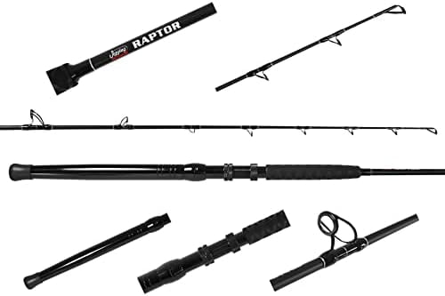 Raptor Casting Rod - Walmart.com
