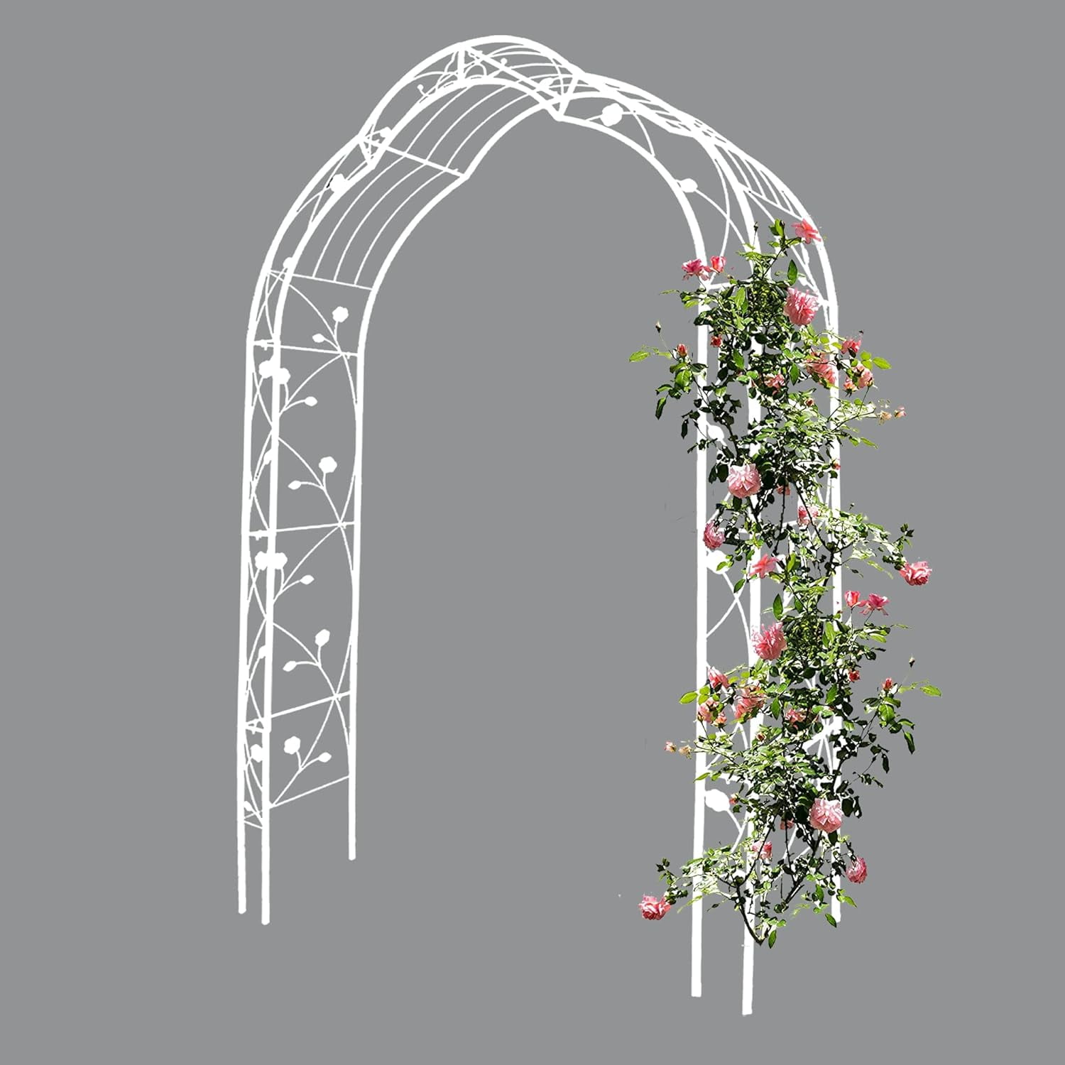 Metal Garden Arch, Assembly Garden Arbor Trellis Climbing Plants ...