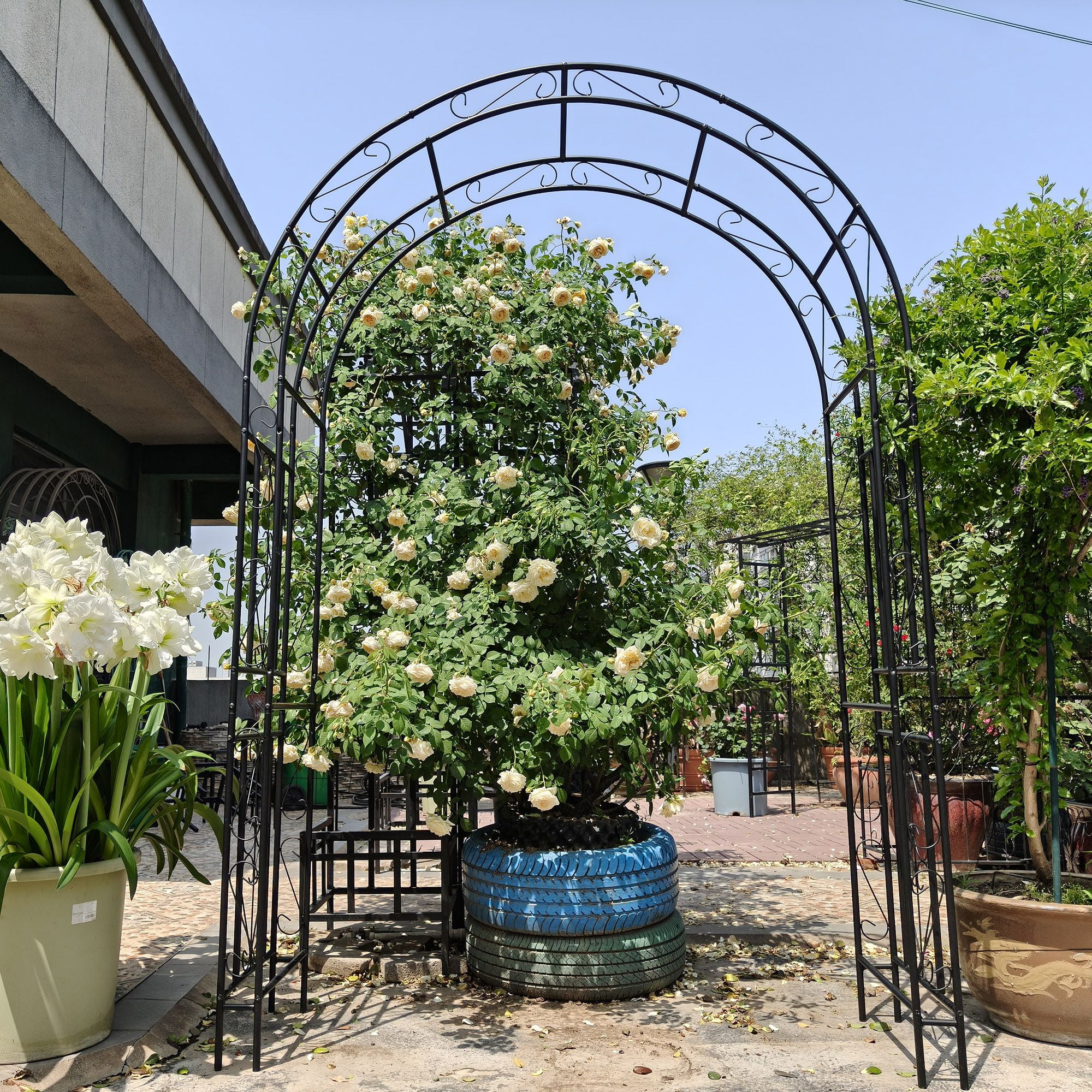 Metal Garden Arch L59'' x W17.71'' x H90.55'' Climbing Plants Support Rose Arch Outdoor Black ...