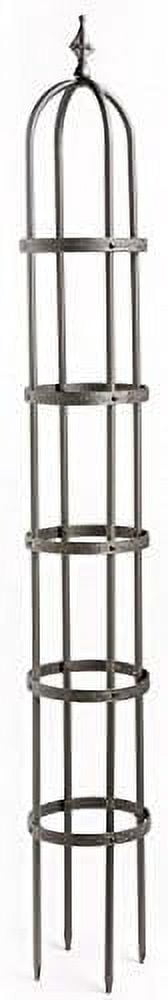 Metal Garden Plant Obelisk | Indoor & Outdoor Safe | Powder-Coated ...