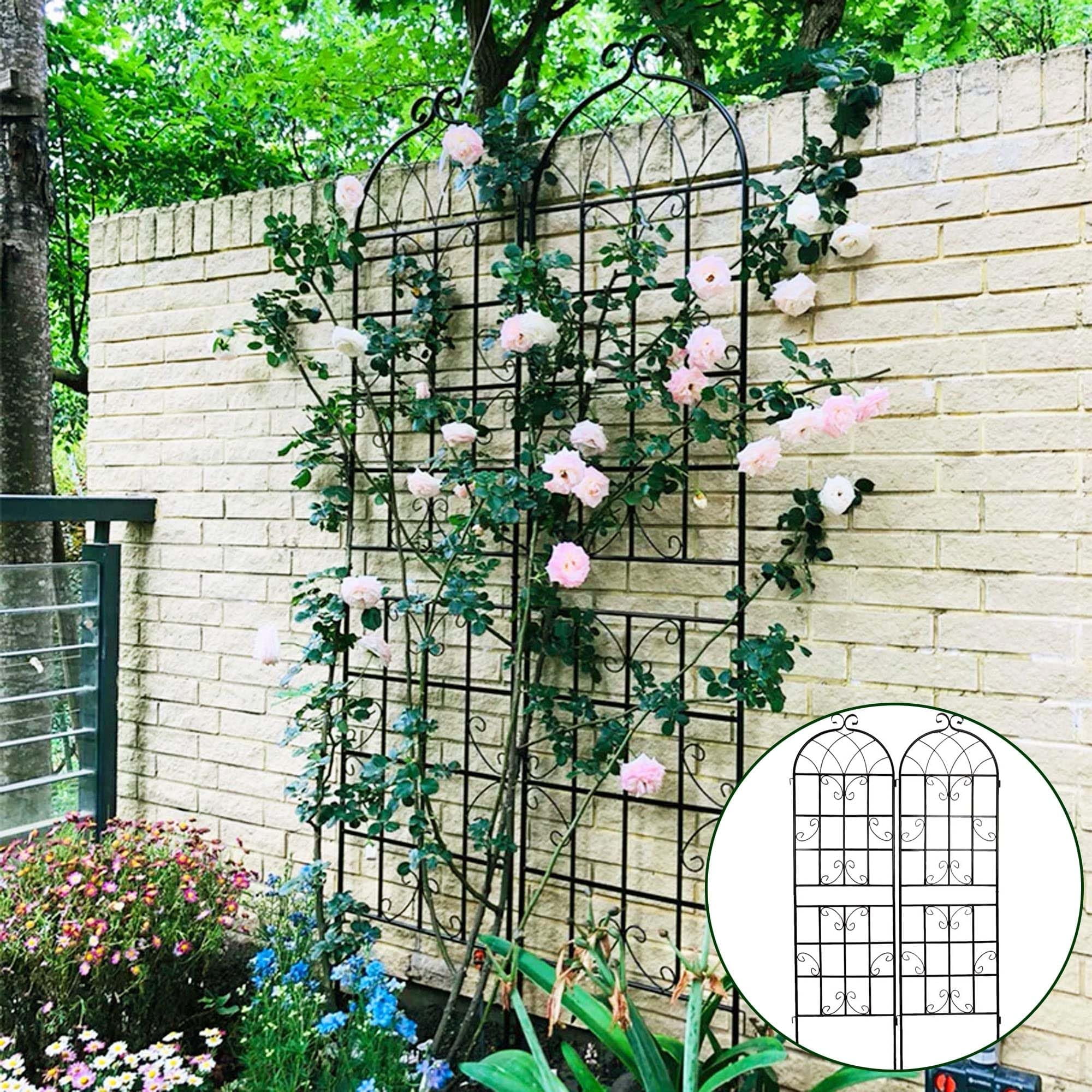 Metal Garden Trellis for Climbing Plants Outdoor, 2 Pack 71 Inch Tall ...