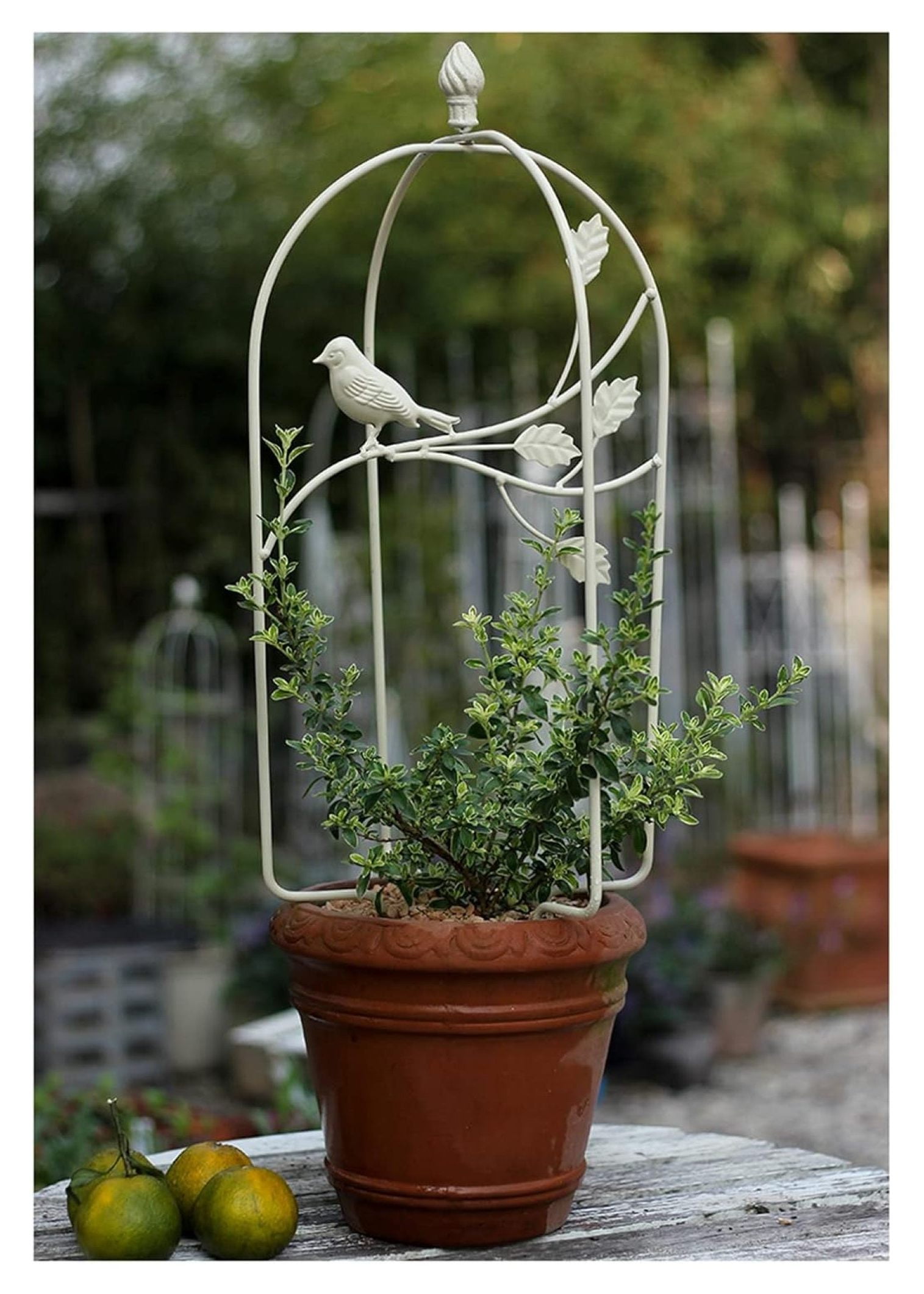 Metal Garden Trellis, Garden Obelisk Trellis for Climbing Plants ...