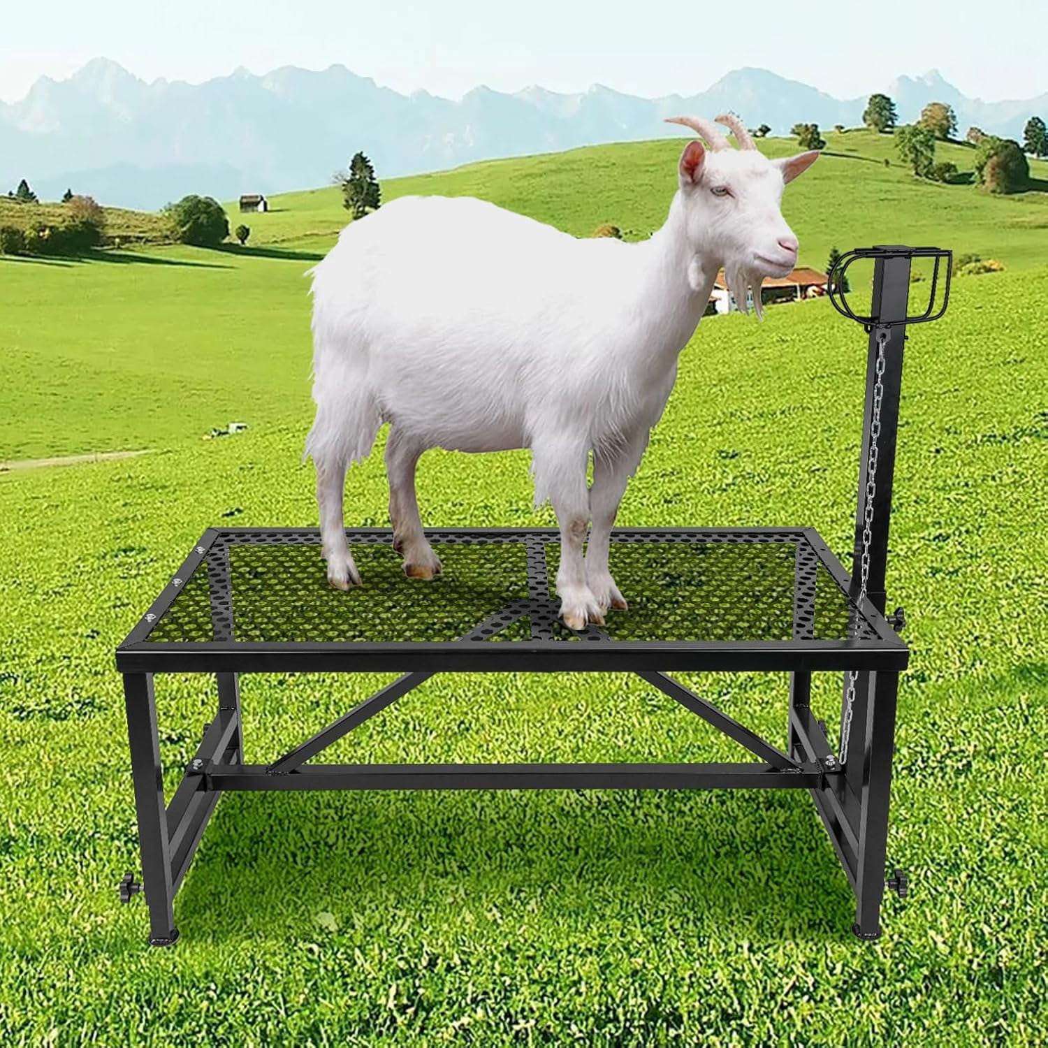 Metal Goat Milking Stand Sheep Stand Sheep Shearing Stand with Durable ...