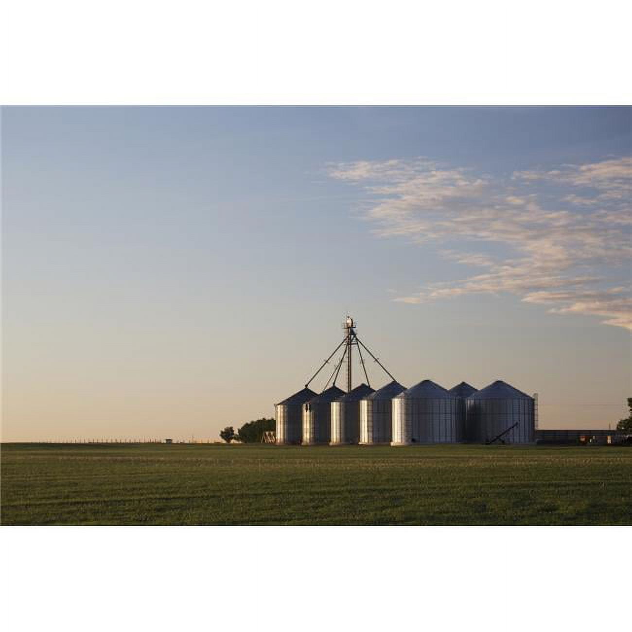 Metal Grain Bins Reflecting Sunrise in An Early Growth Grain Field with ...