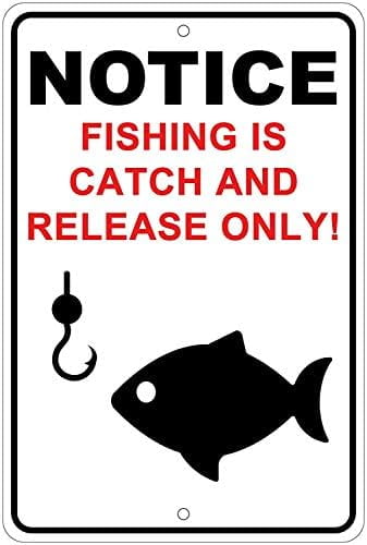 Metal Great Tin Sign Fishing is Catch and Release Sign 12" X 8 ...
