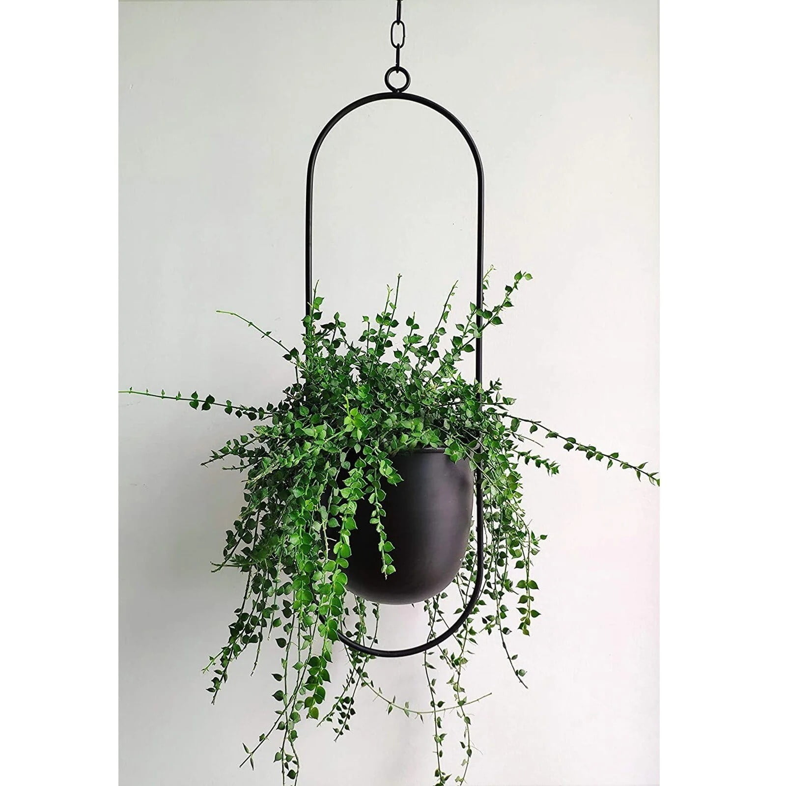 Metal Hanging Planter for Indoor Outdoor Plants Metal Minimalist Wall ...