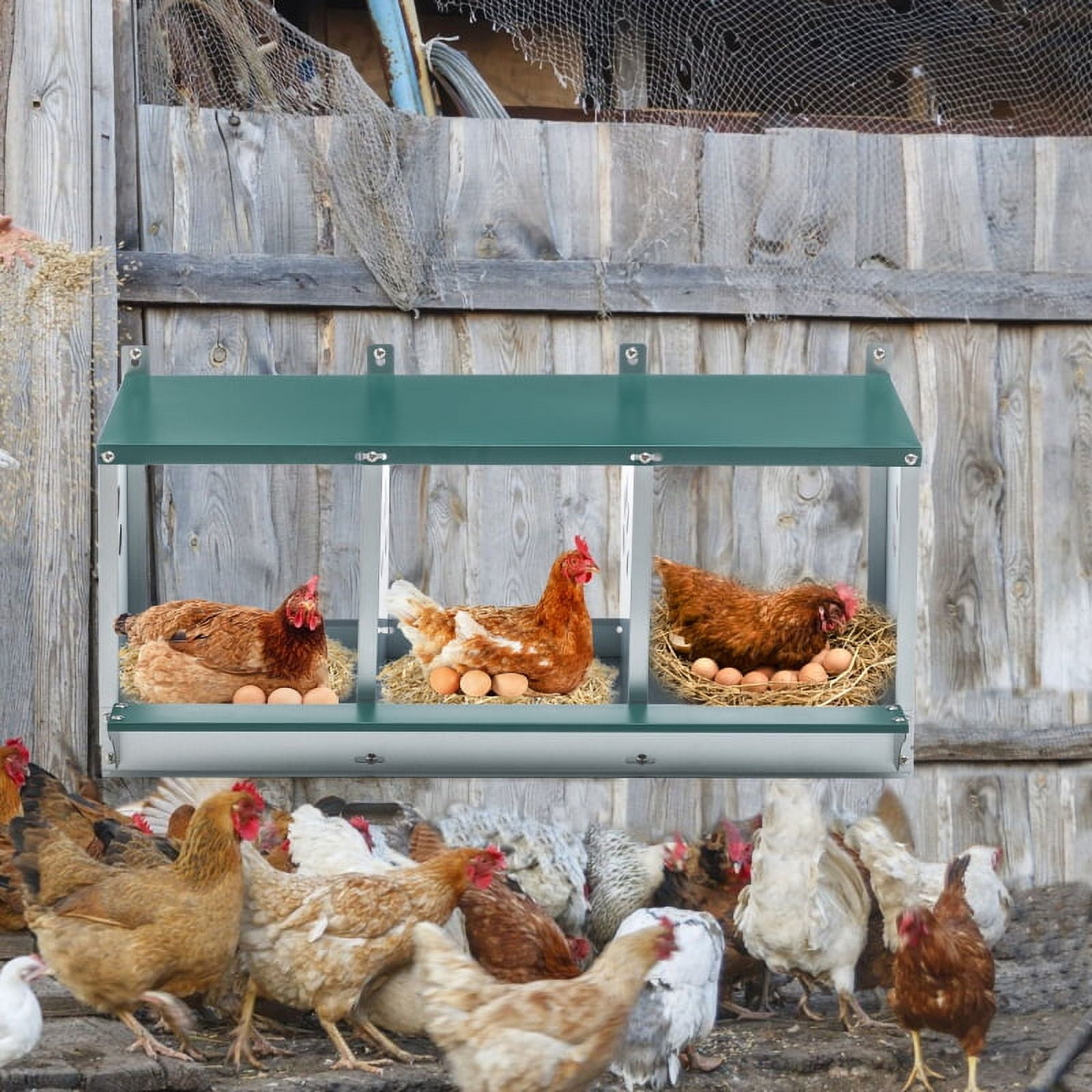 Metal Nesting Boxes Wall Mount Chicken Egg Laying Box,4 Compartment ...