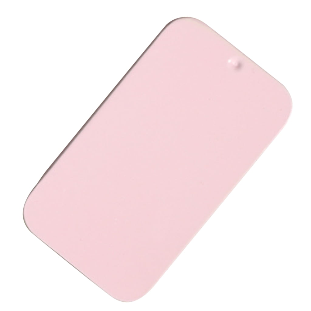 Metal Pet Birds Training Feeder Hand-held Treat Tray Small Size for ...