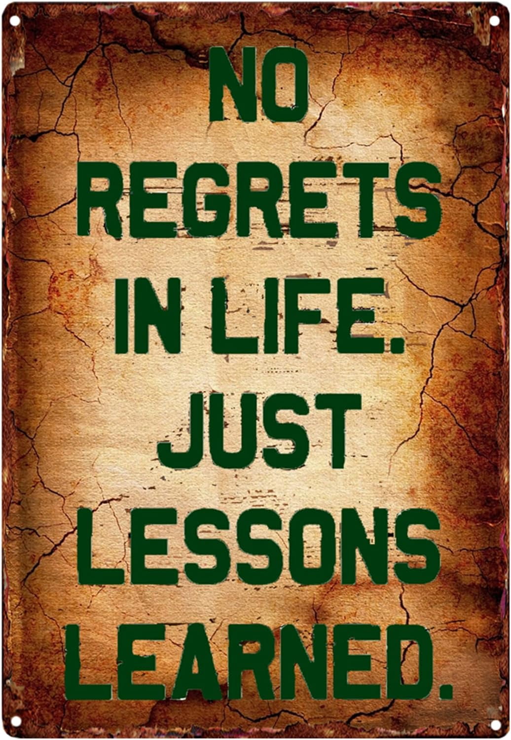 Metal Plaque Tin Signs No Regrets in Life Just Lessons Learned ...