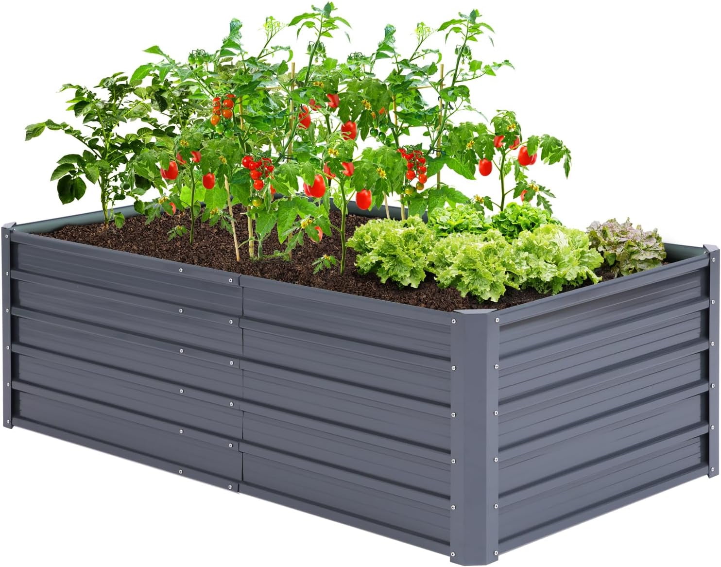 Metal Raised Garden Bed Outdoor 6x3x1.9 FT Reinforced Galvanized Rustproof Colored Steel Planter ...