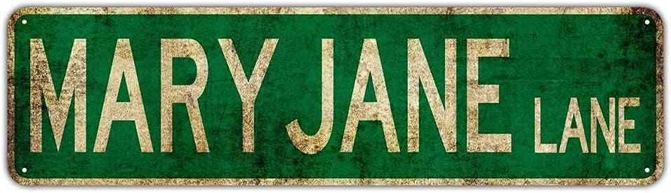 Metal Retro Tin Signs Instagram Style Mary Jane Lane Street Signs ...