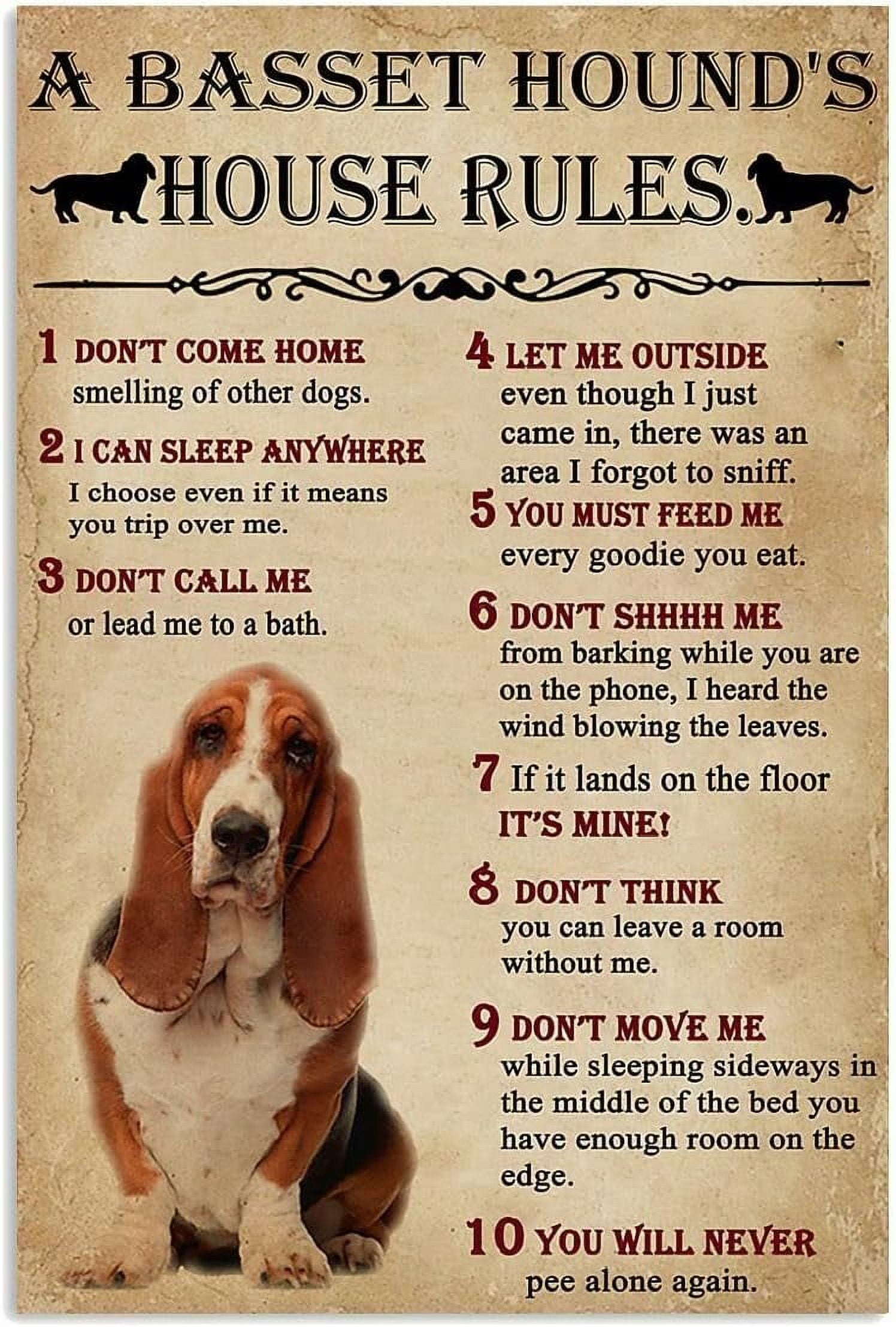 Metal Sign A Basset Hound's House Rules Sign Vintage Funny Sign Retro ...