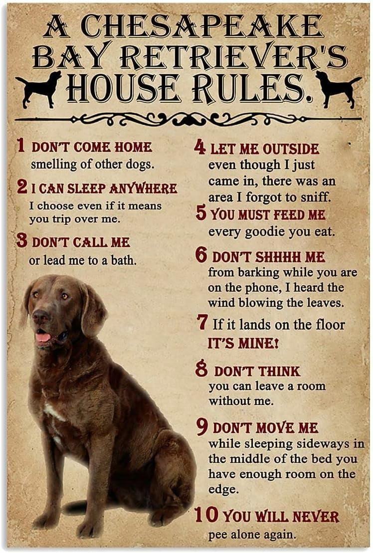 Metal Sign A Chesapeake Bay Retriever's House Rules Sign Vintage Funny ...