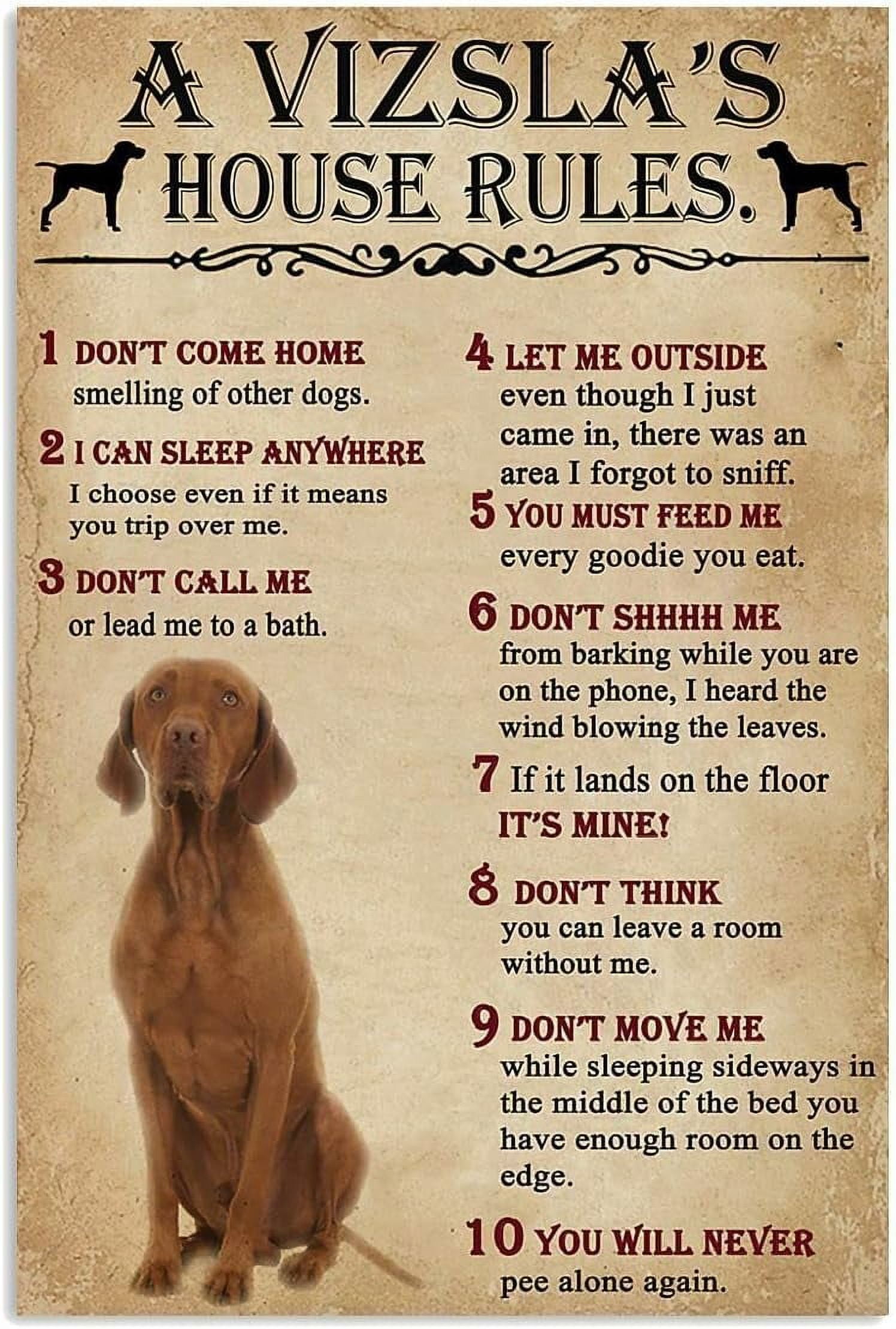 Metal Sign A Vizsla House Rules Sign Vintage Funny Sign Retro Aluminum ...
