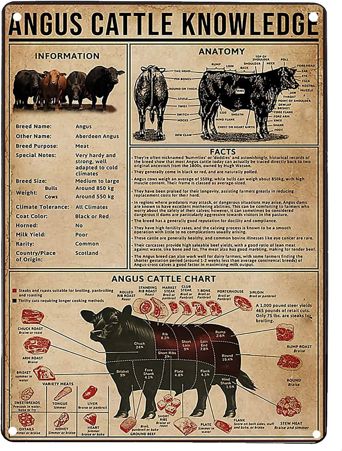 Metal Sign Angus Cattle Knowledge Tin Poster Angus Cattle Chart Anatomy ...