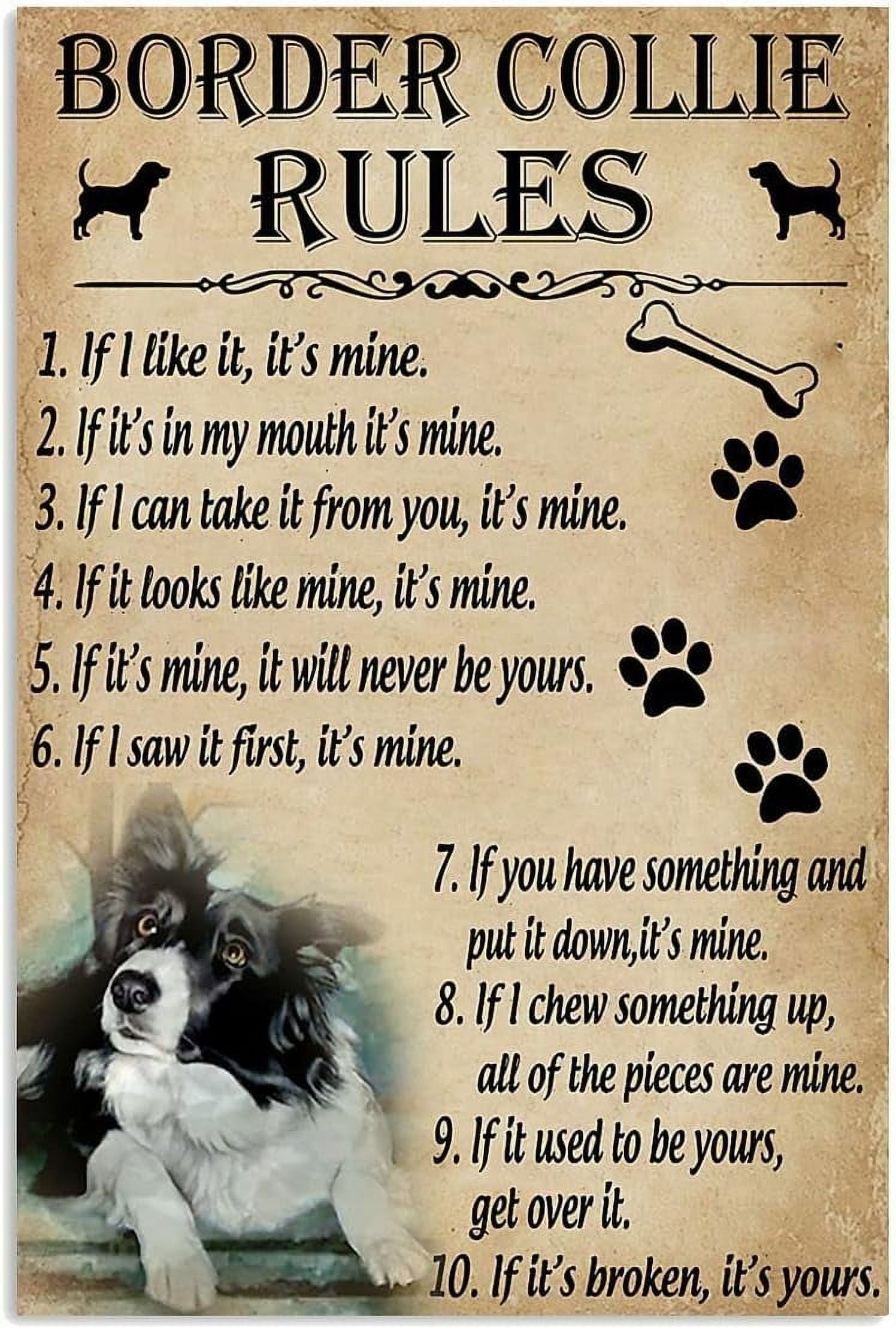 Metal Sign Border Collie Rules Sign Vintage Funny Sign Retro Aluminum ...