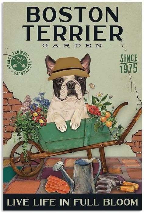 Metal Sign Boston Terrier Garden Vintage Kitchen Signs Wall Decor ...