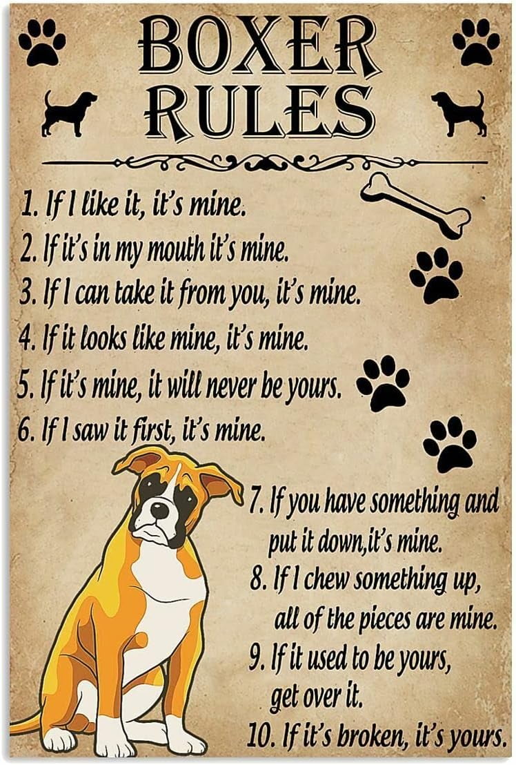 Metal Sign Boxer Rules Sign Vintage Funny Sign Retro Aluminum Tin Signs ...