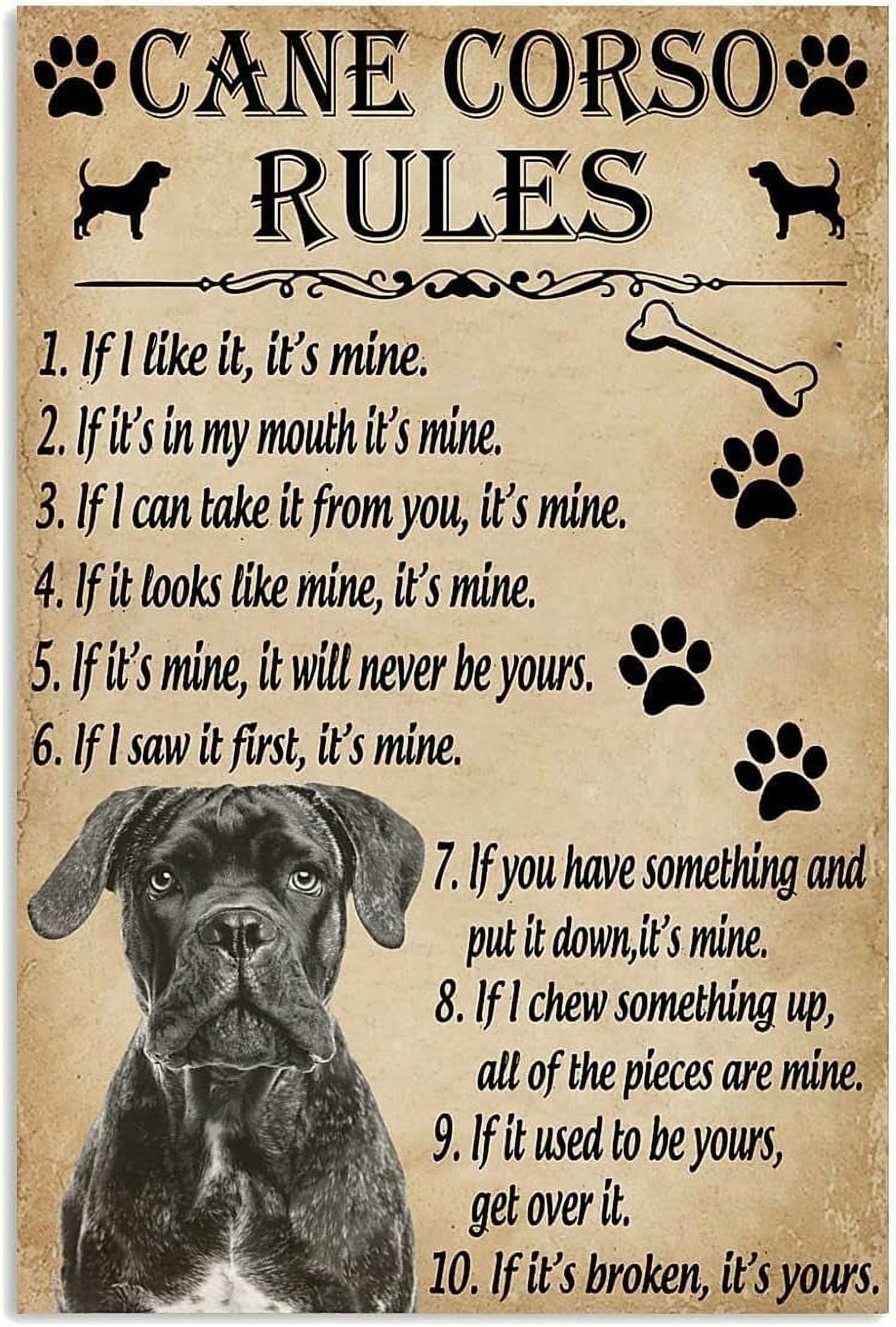 Metal Sign Cane Corso Rules Sign Vintage Funny Sign Retro Aluminum Tin ...
