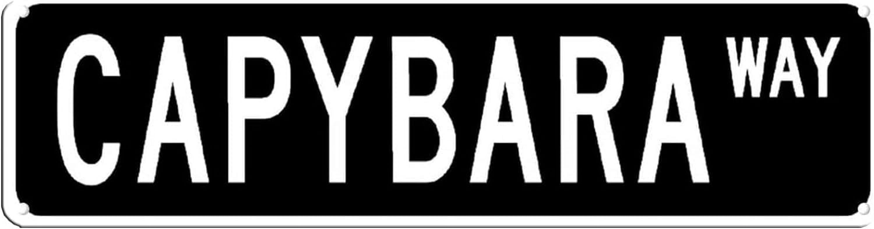 Metal Sign Capybara WAY Vintage Signs Retro Tin Signs Art Plaque ...